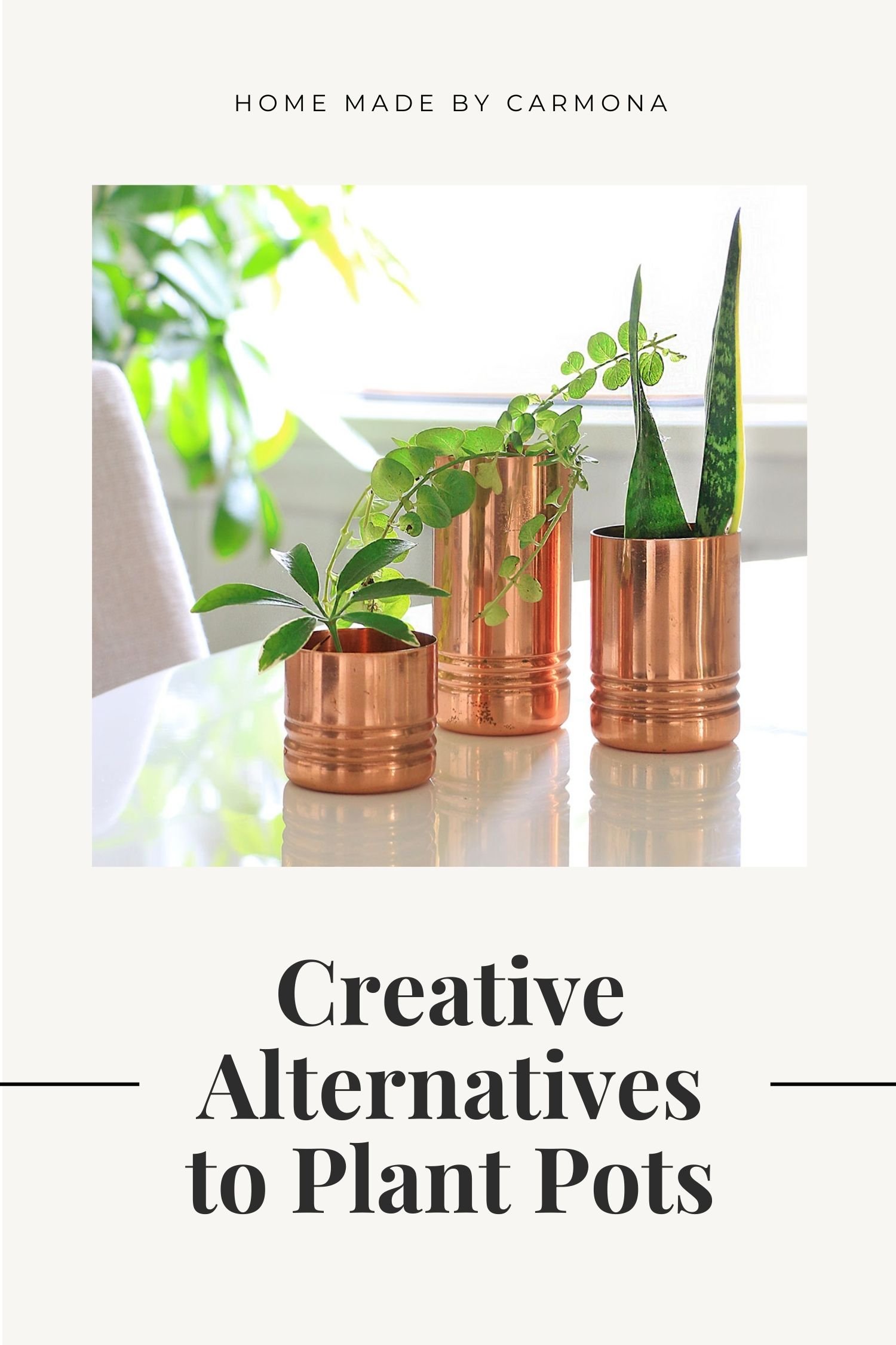 Alternatives to Plant Pots