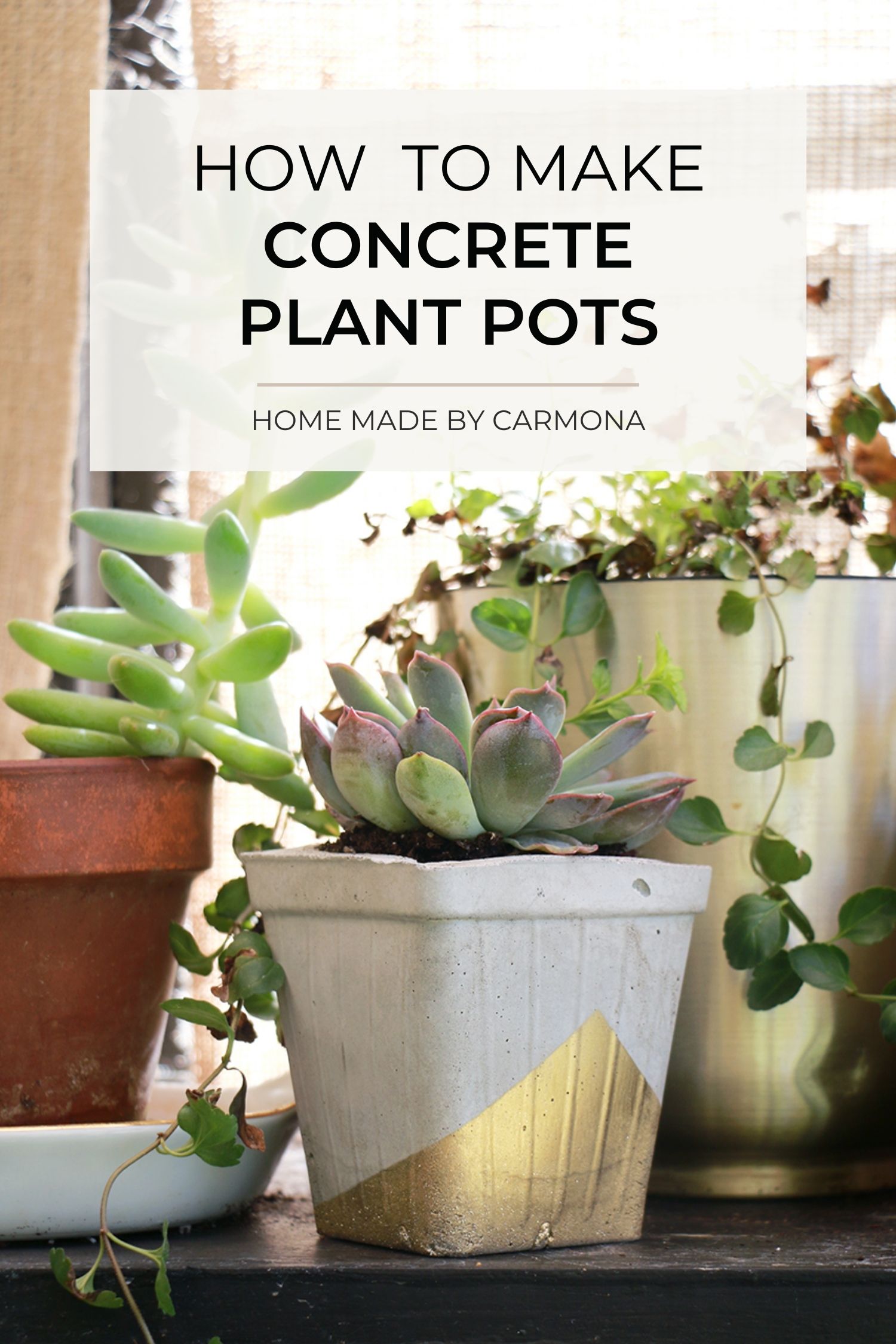 Concrete Plant Pots