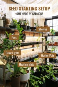 How To Start Seeds Indoors: The Ultimate Setup