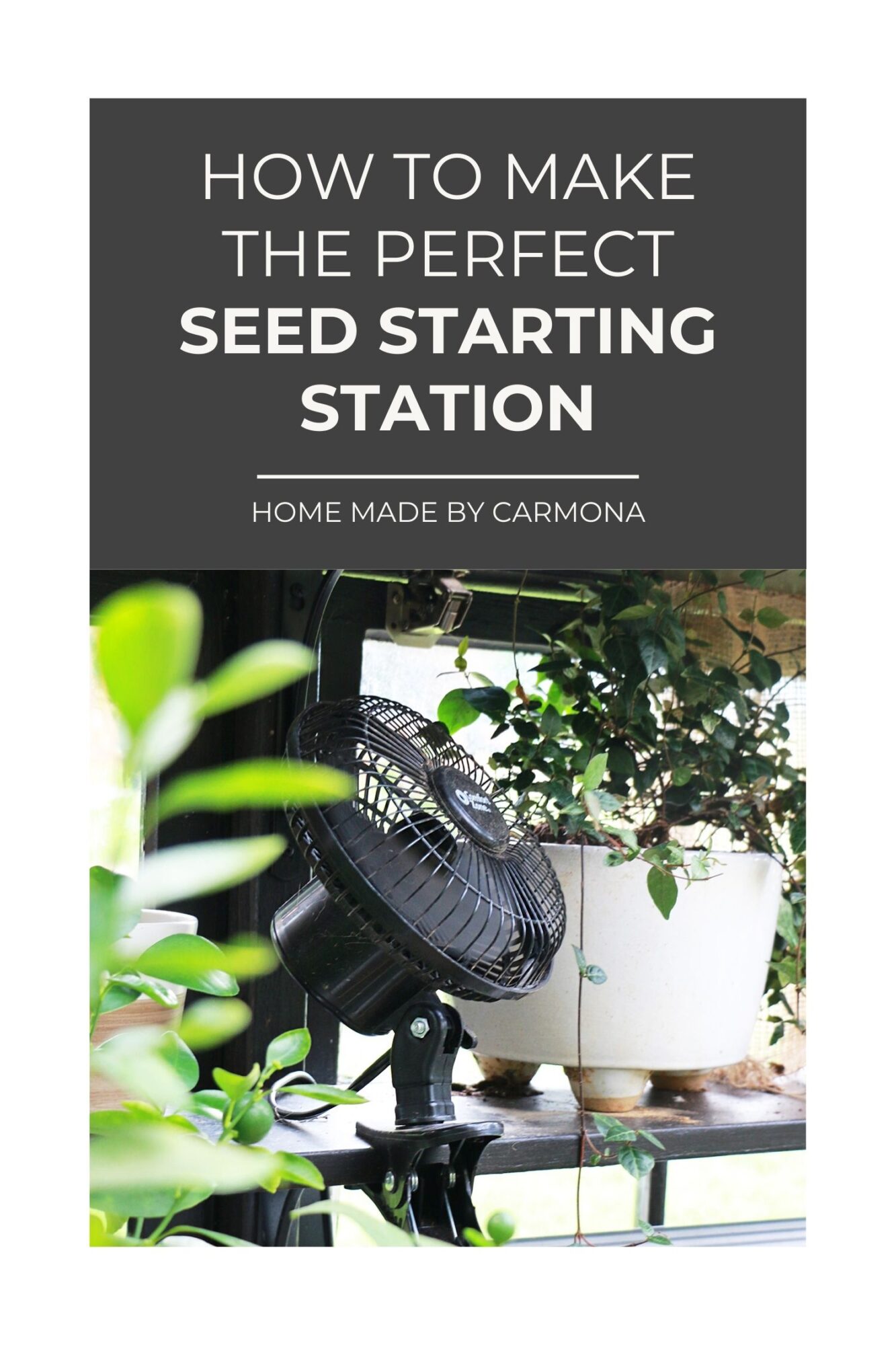 Seed Starting Station